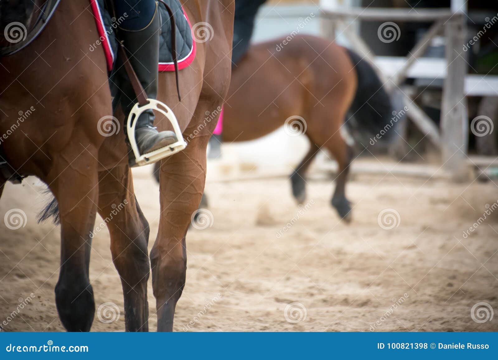 Back Side View of a Group of Riders Stock Photo - Image of rider ...