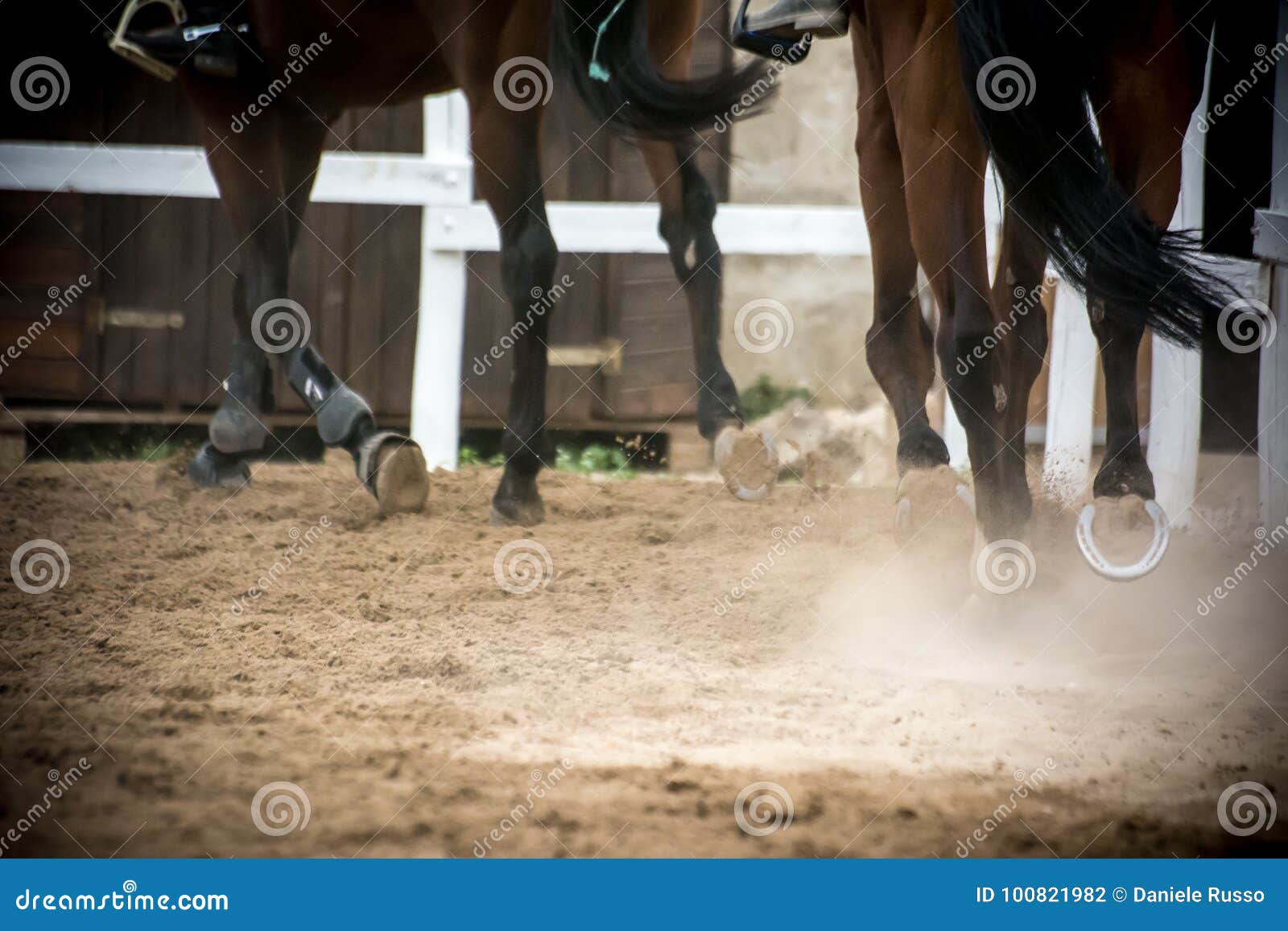 Back Side View of a Group of Riders Stock Photo - Image of equine ...