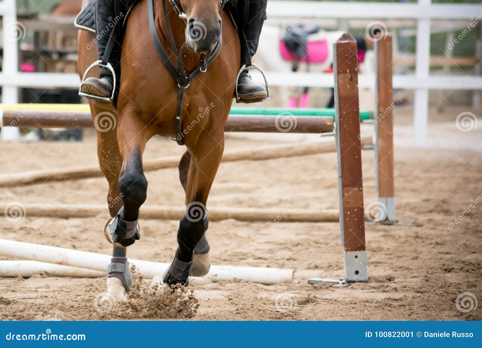 Back Side View of a Group of Riders Stock Image - Image of fashion ...