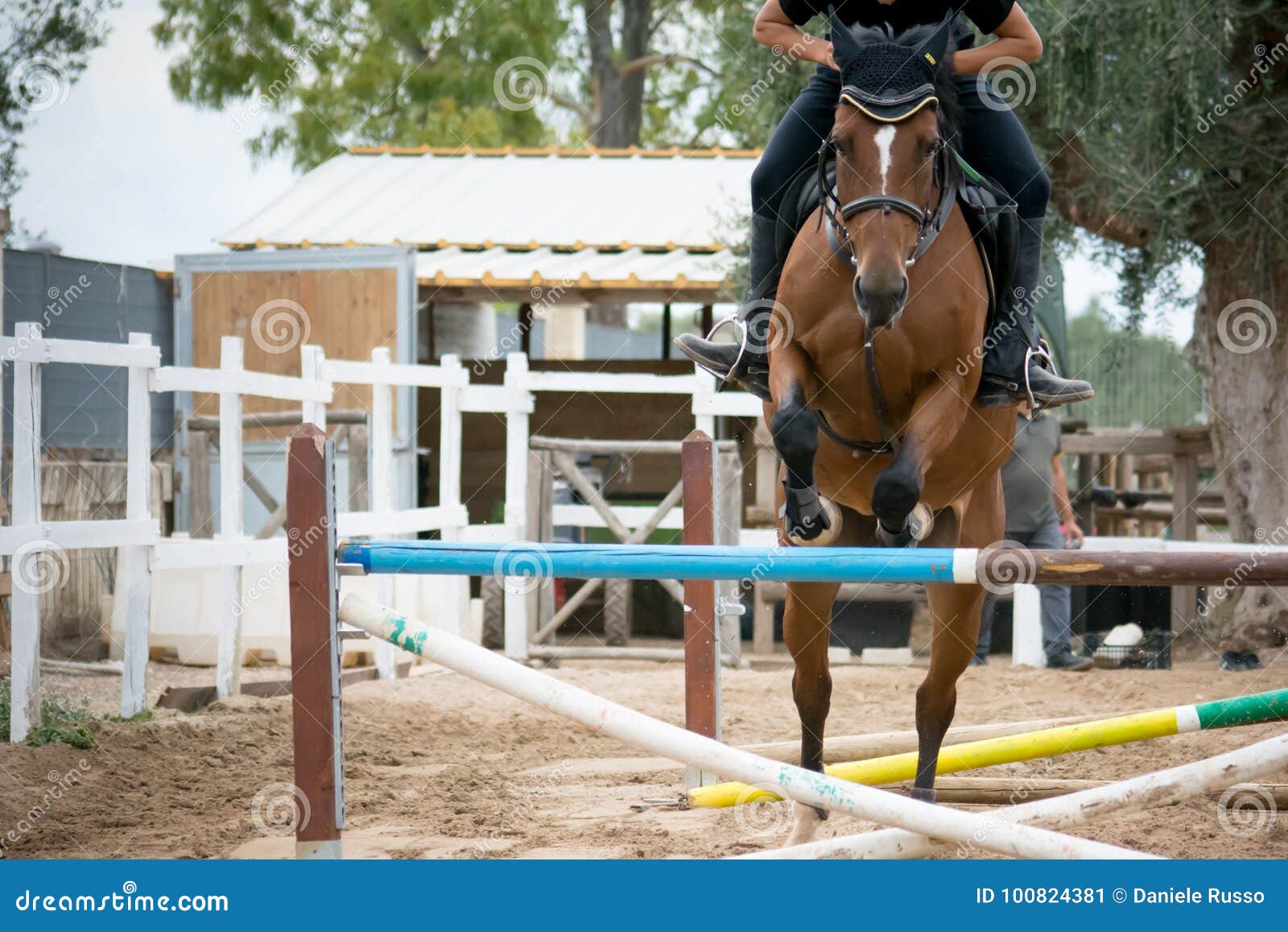 Back Side View of a Group of Riders Stock Image - Image of competition ...