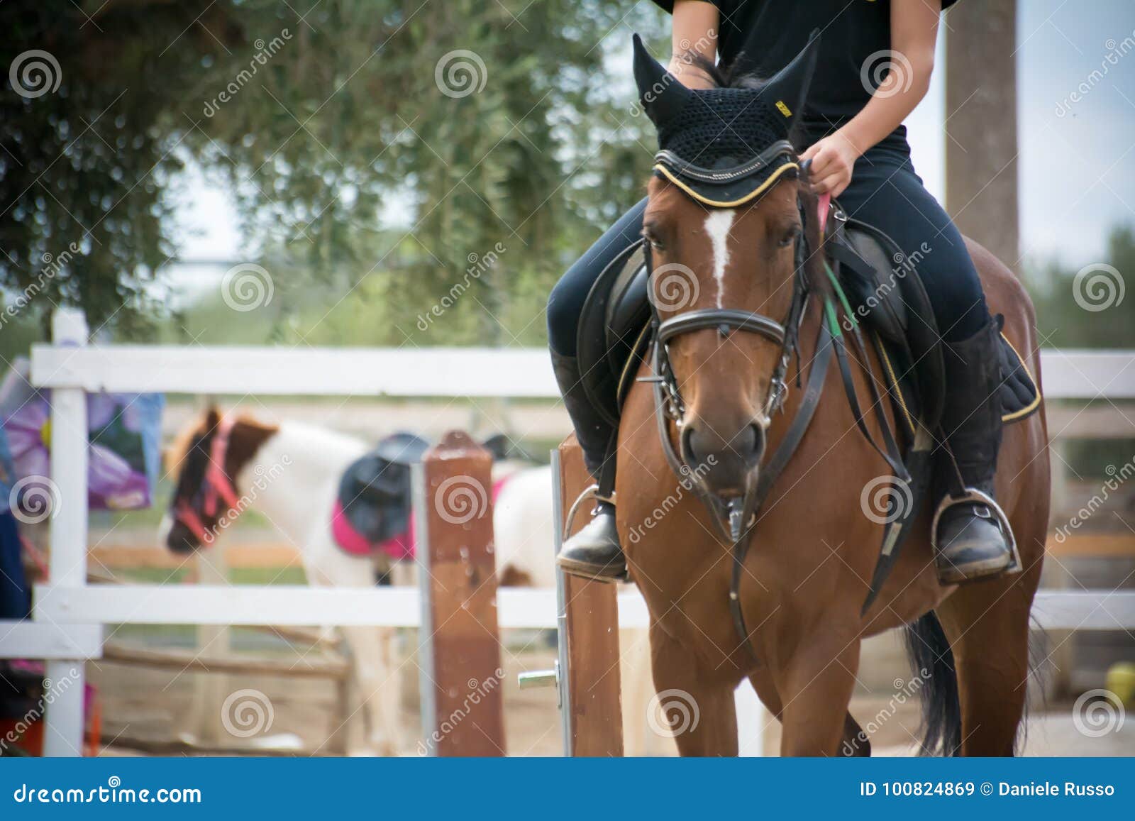 Back Side View of a Group of Riders Stock Image - Image of outdoor ...