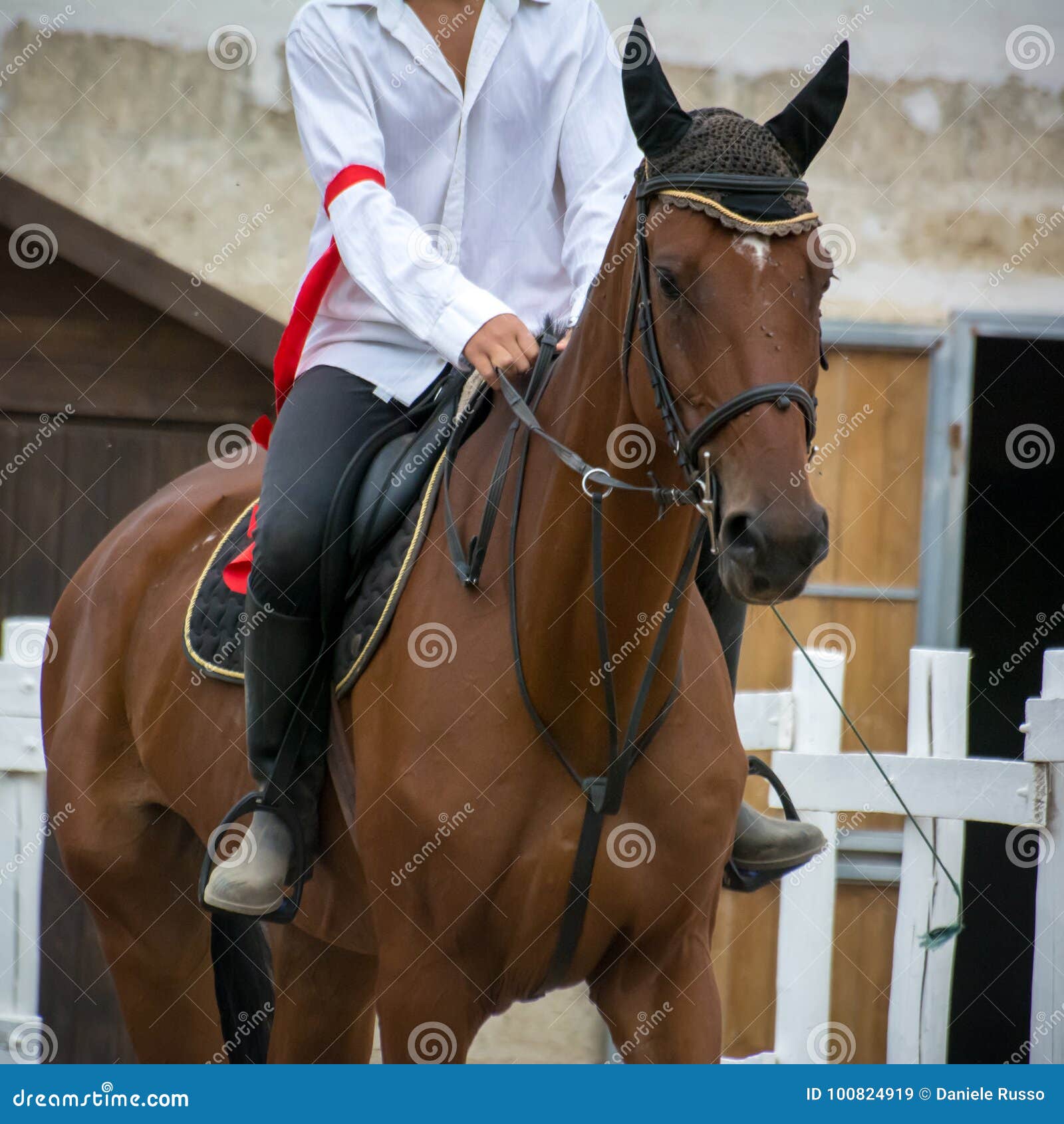 Back Side View of a Group of Riders Stock Image - Image of equestrian ...