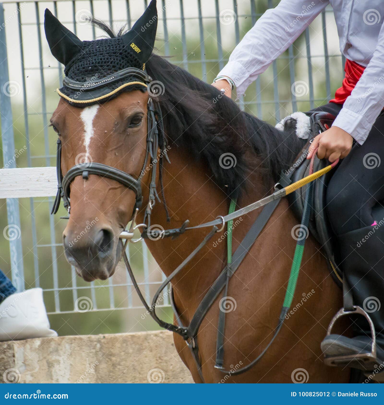 Back Side View of a Group of Riders Stock Photo - Image of ride ...