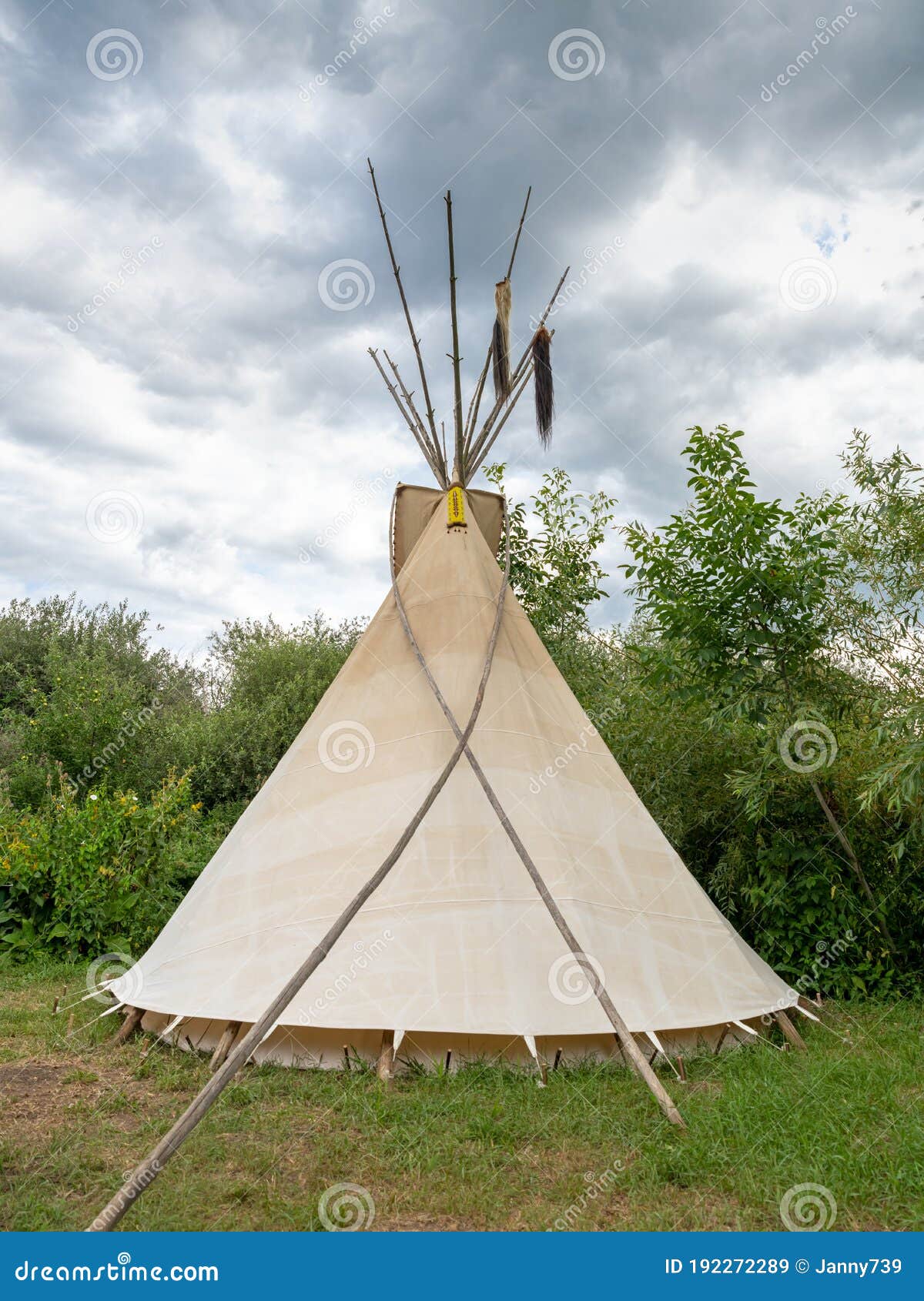 Back of a Single Indian Tipi Stands in a Meadow between Trees and ...