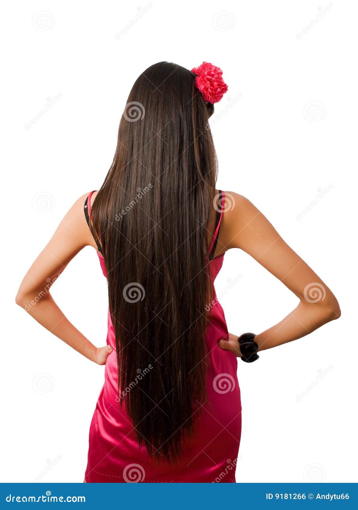 Back of Slim Female with Long Hair Isolated Stock Photo - Image of ...
