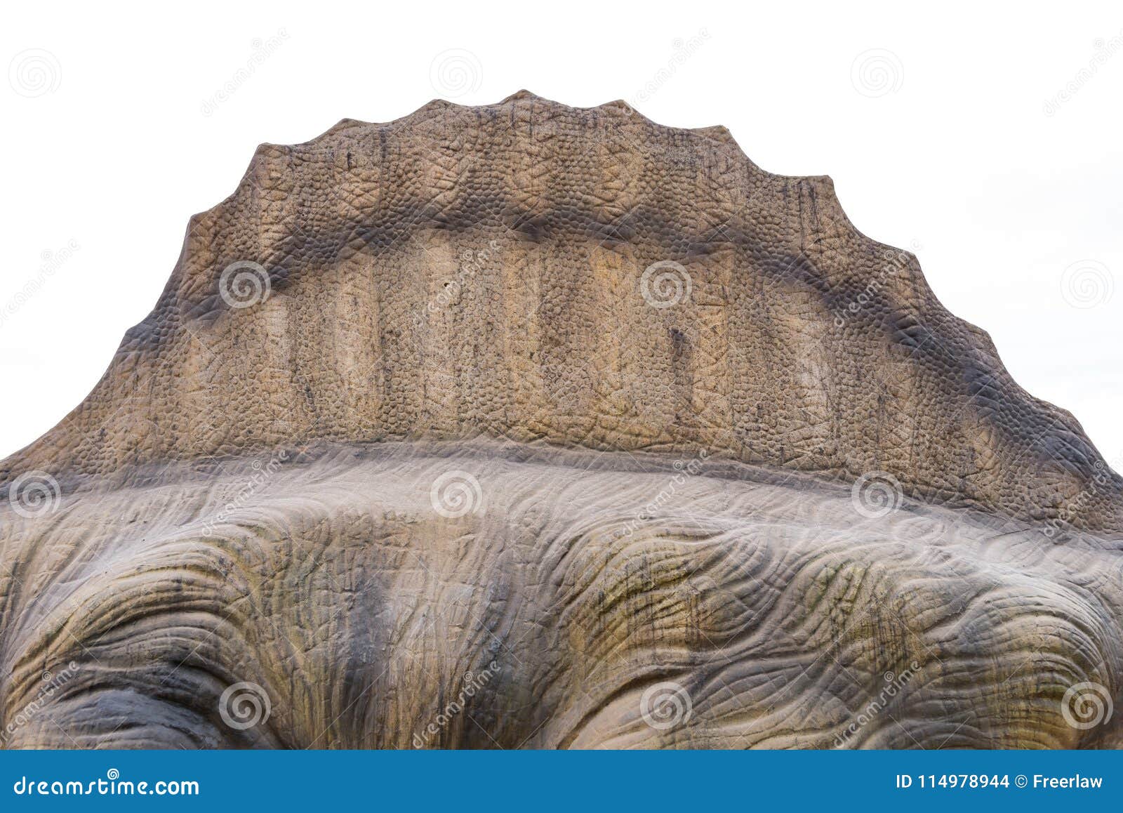 Back of a Spinosaurus stock photo. Image of monster - 114978944