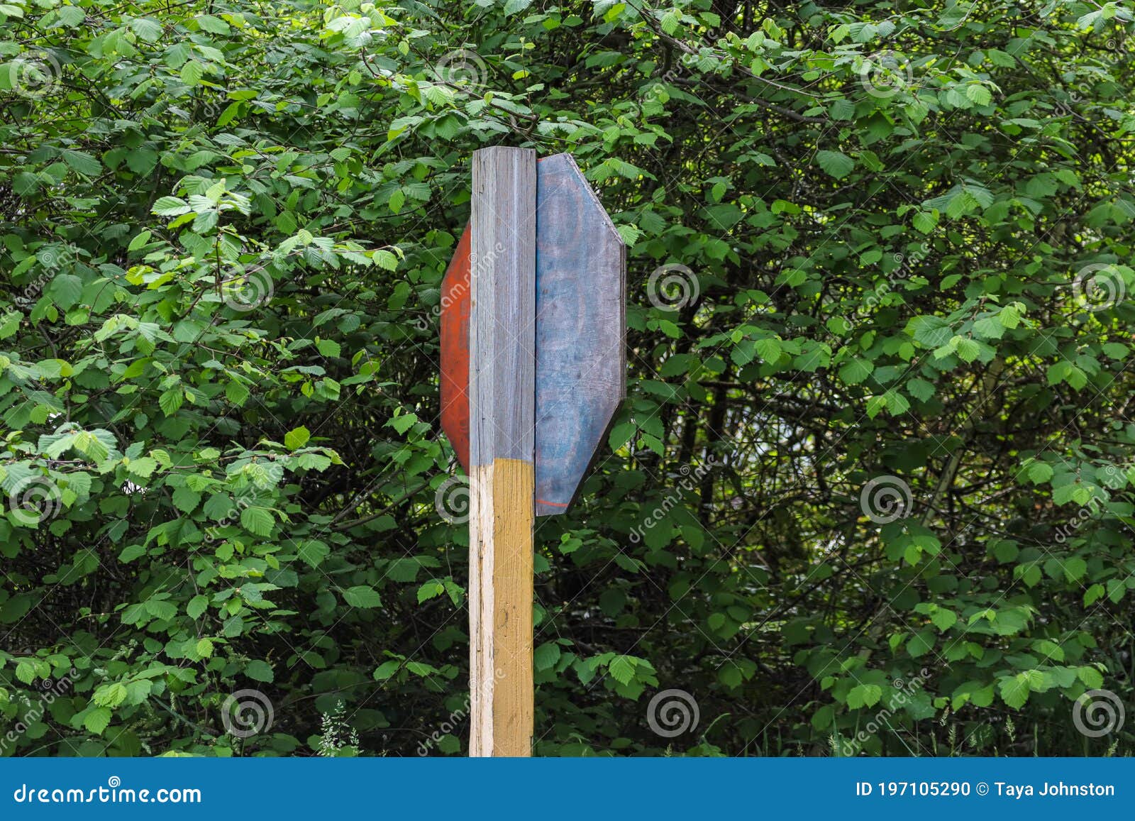 The Back of a Stop Sign in Front of Bushes Stock Photo - Image of ...
