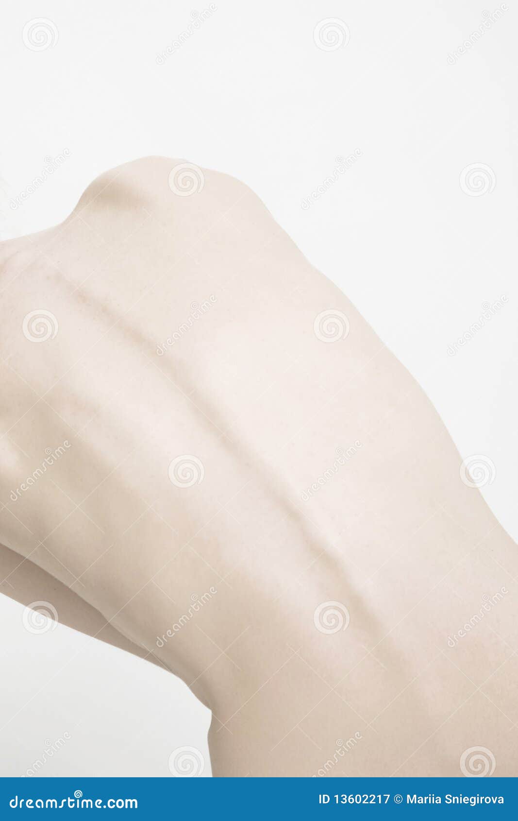 Back of thin woman stock image. Image of figure, curvature - 13602217