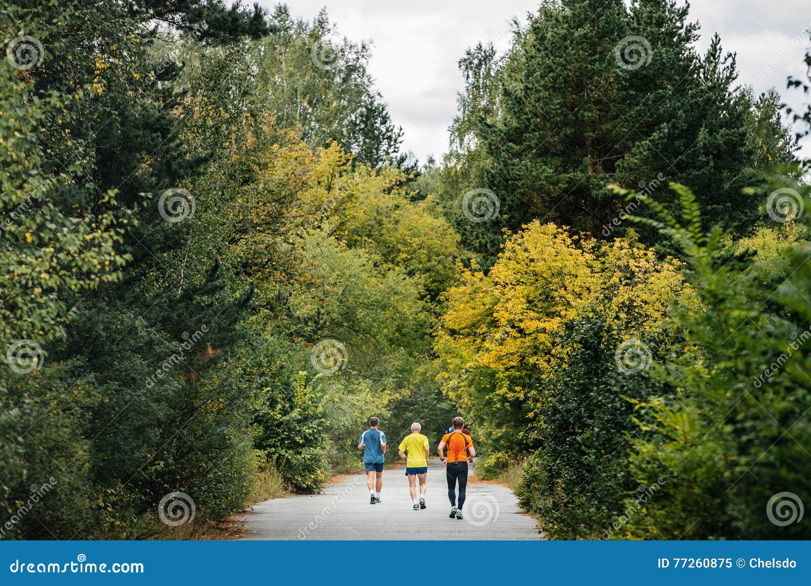 Back Three Runners Running in Autumn Forest Editorial Image - Image of ...