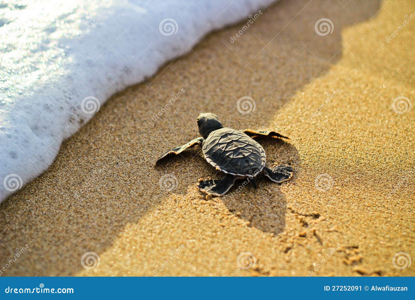 Back to nature stock image. Image of nature, beach, indonesia - 27252091