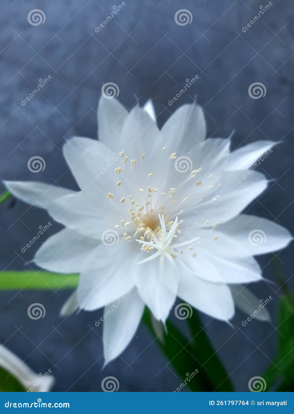 Back To the Nature and Love Keep it Clean Stock Photo - Image of love ...