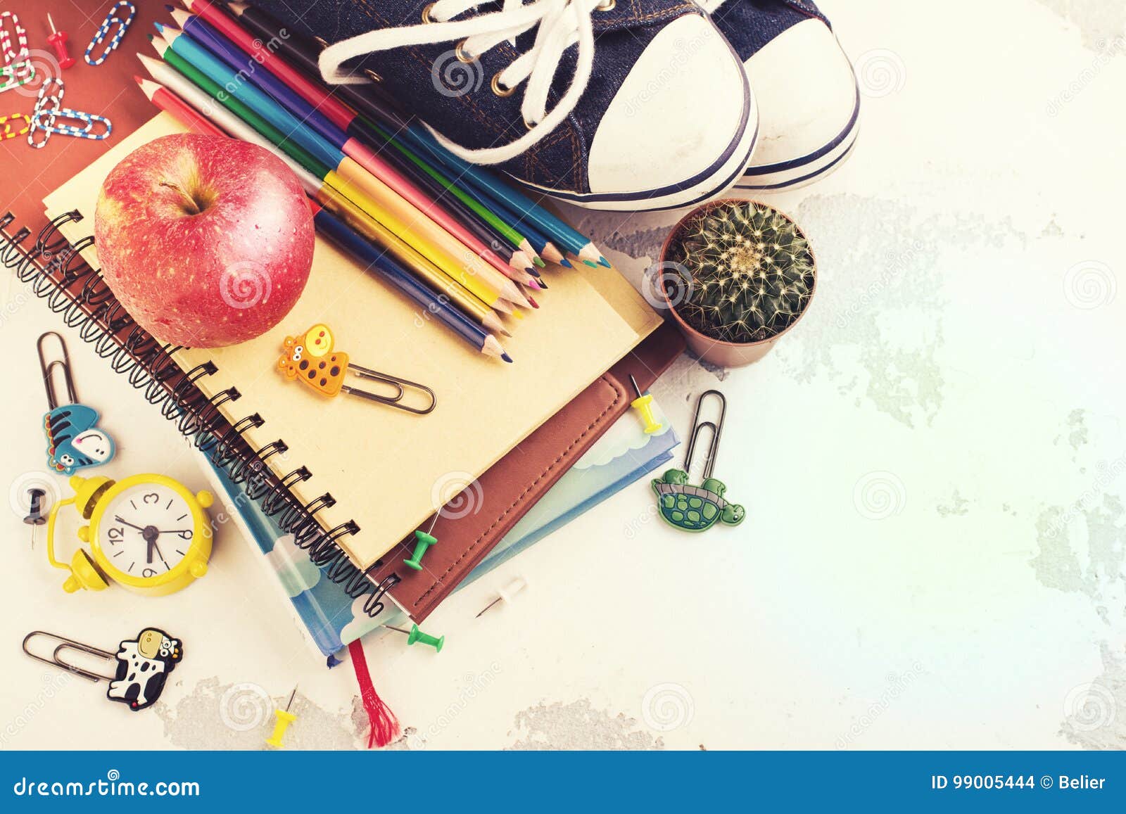 Back to School concept stock photo. Image of healthy - 99005444