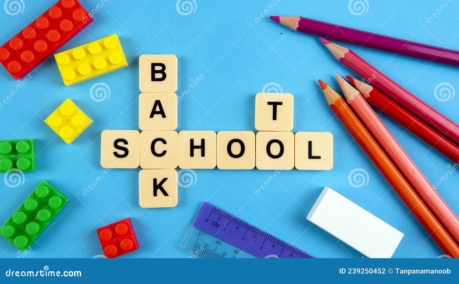 Back to School Concept stock photo. Image of chalkboard - 239250452
