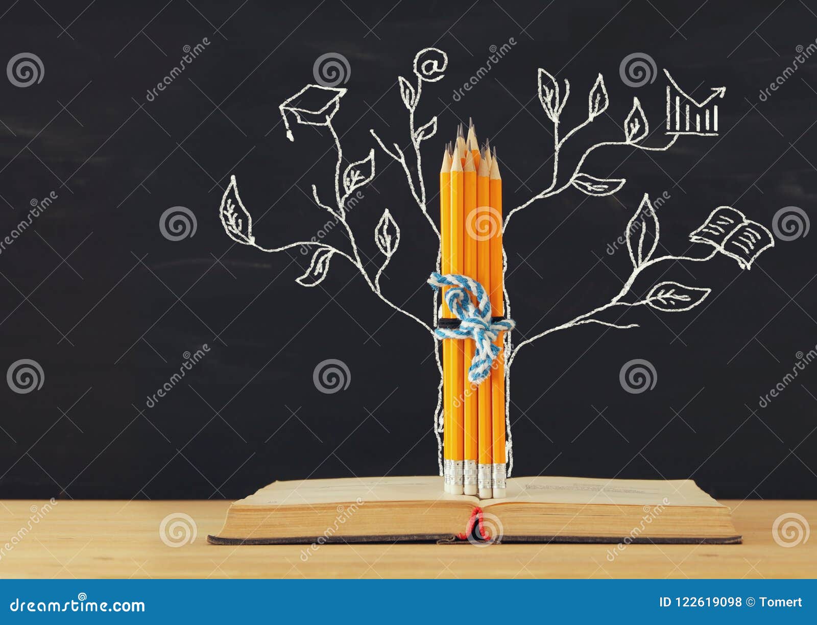 Back To School Concept. Tree of Knowledge Sketch and Pencils Over Open ...