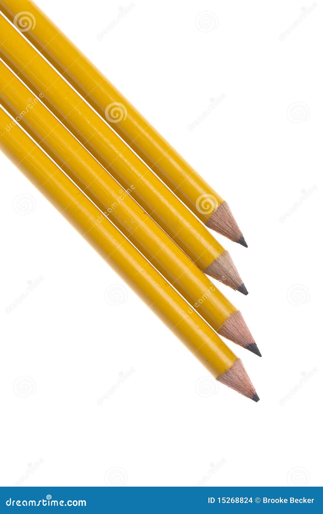 Back to School Pencil stock photo. Image of path, studio - 15268824