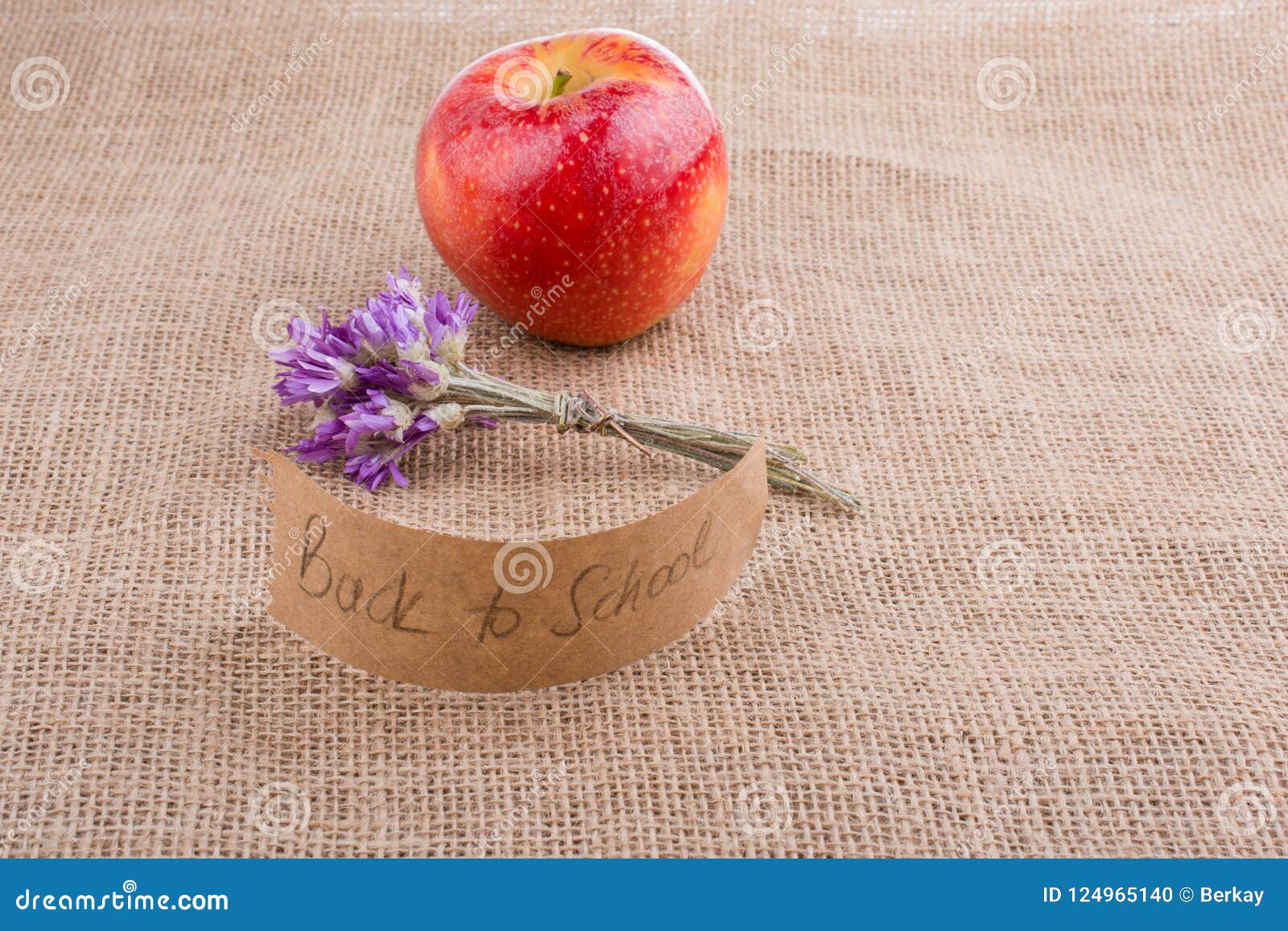 Back To School Theme with Flower and Apple Stock Photo - Image of ...