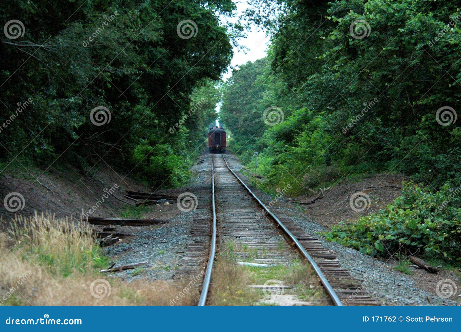Back of train stock photo. Image of transportation, trees - 171762