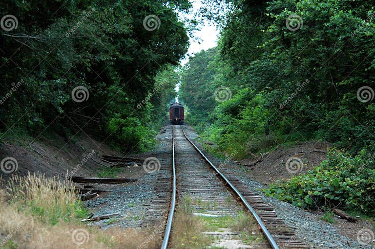 Back of train stock photo. Image of transportation, trees - 171762