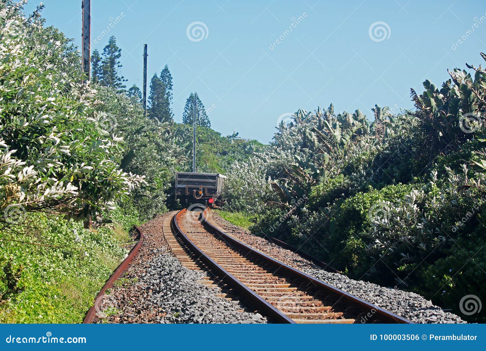 BACK of TRAIN on the TRACKS Stock Photo - Image of steel, green: 100003506