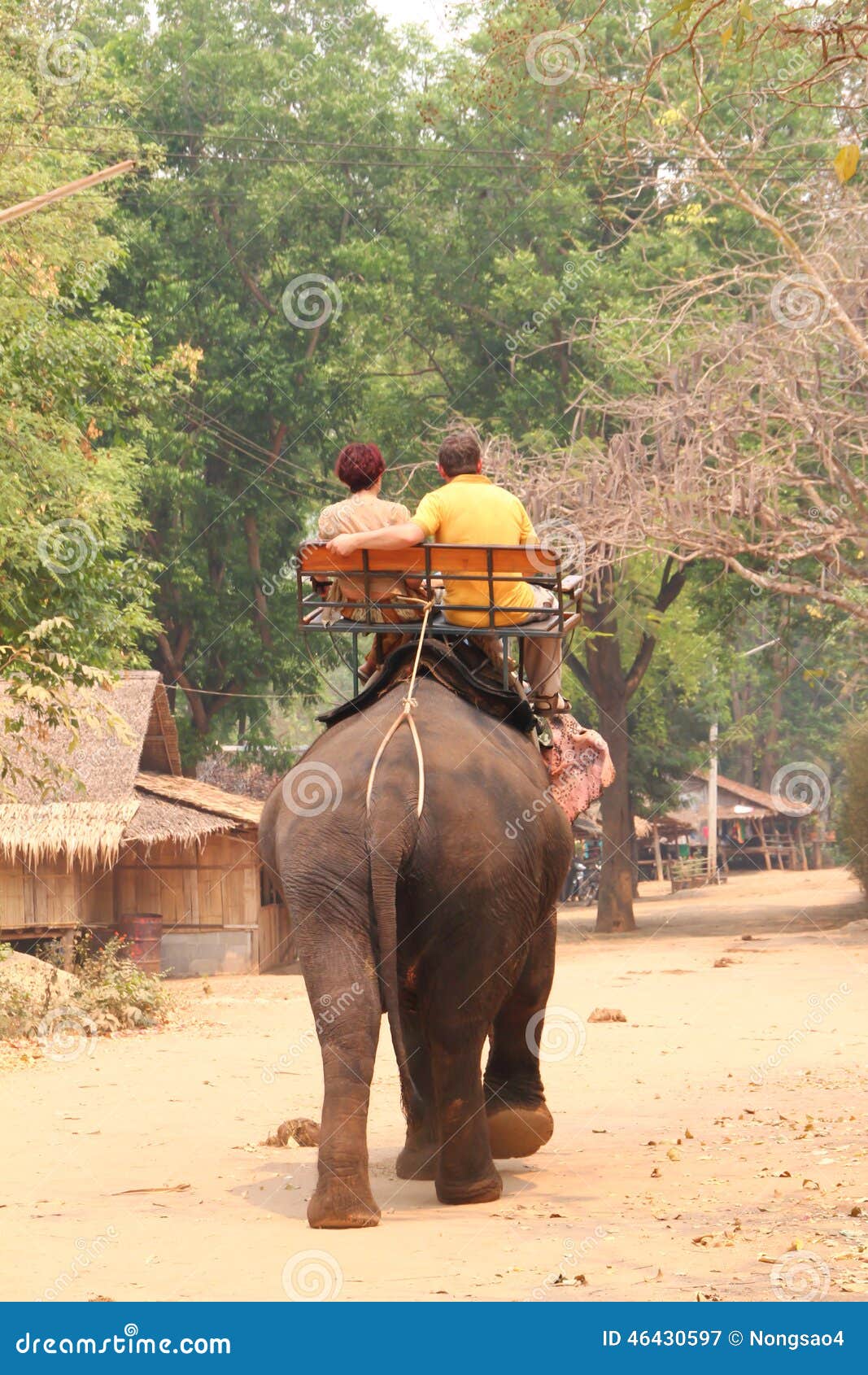 Back Traveler Riding Elephant Editorial Photography - Image of river ...