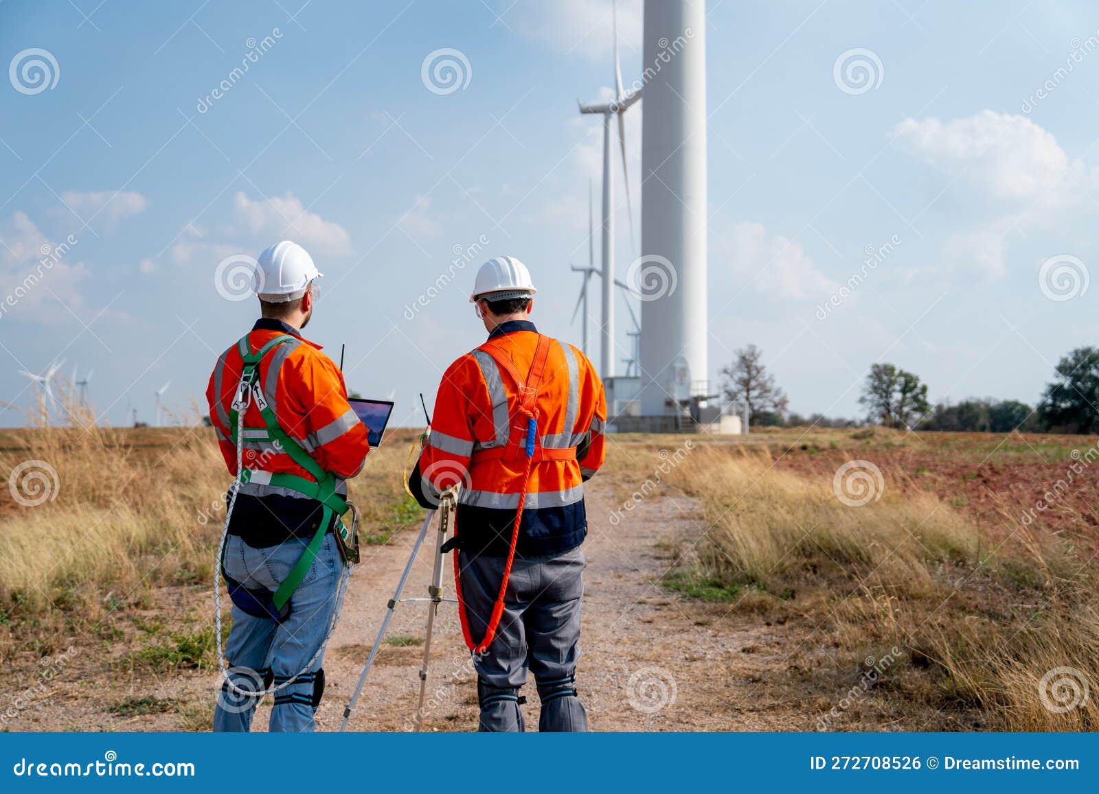 Back of Two Caucasian Engineers or Technicians Work in Front of Cluster ...