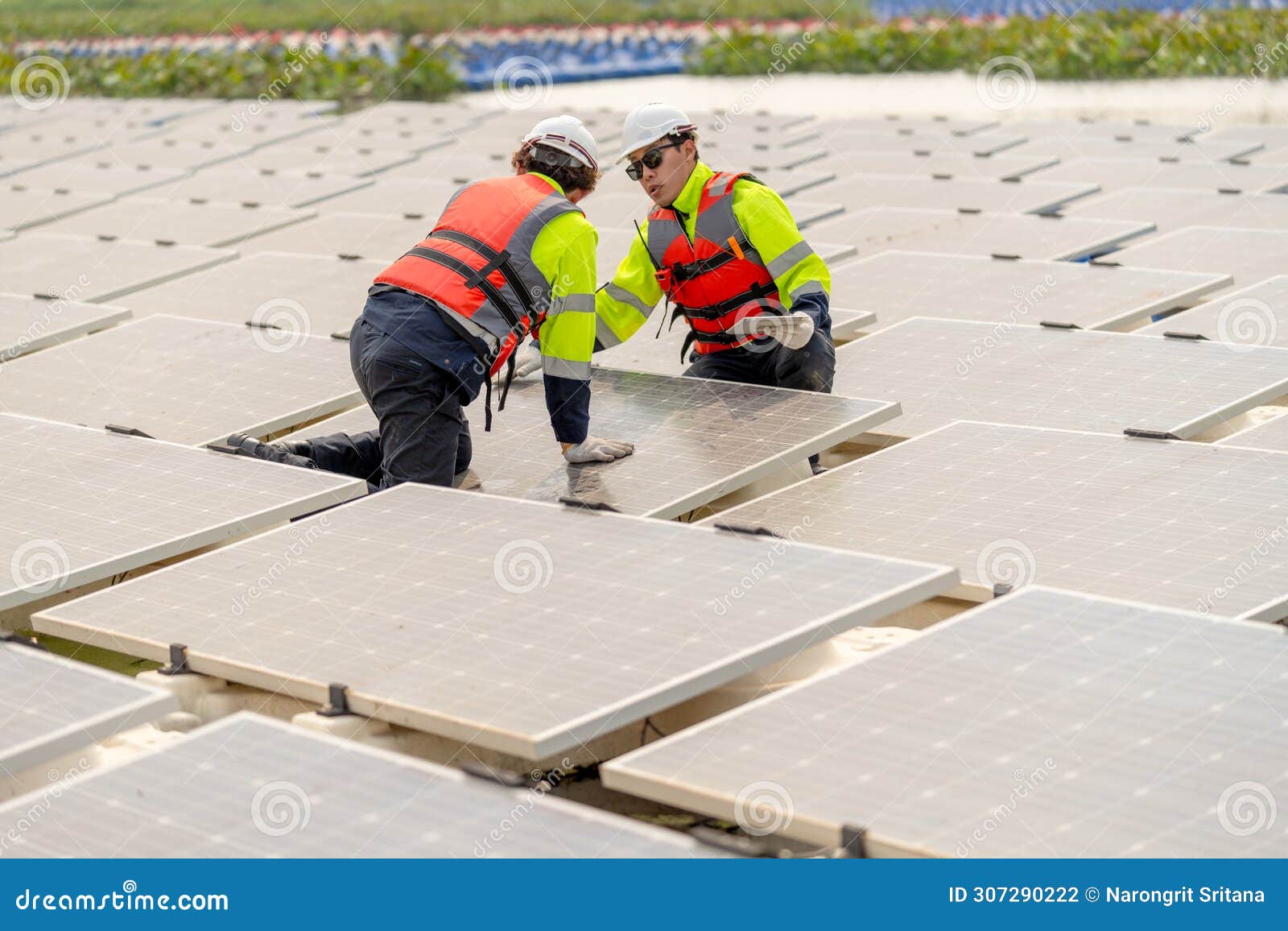 Back of Two Professional Technician Worker Sit in Area of Solar Cell ...