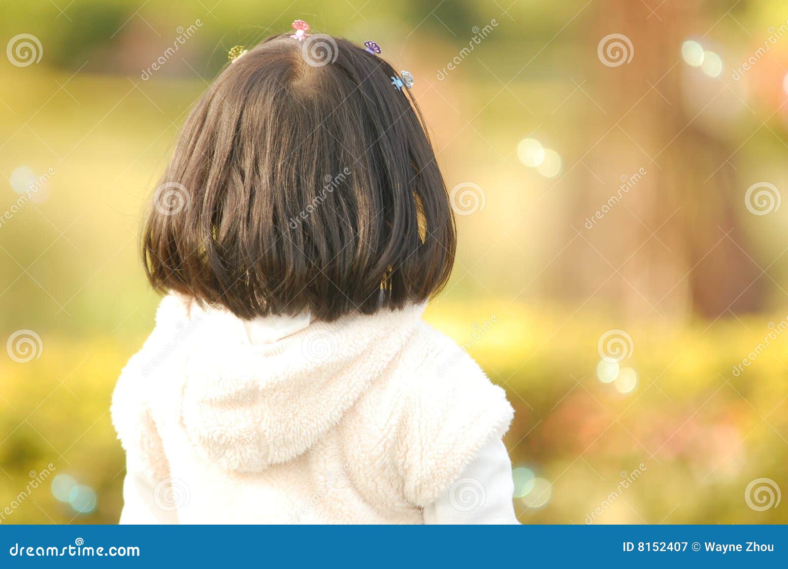 Back View of an Asian Little Girl Stock Image - Image of baby, dream ...