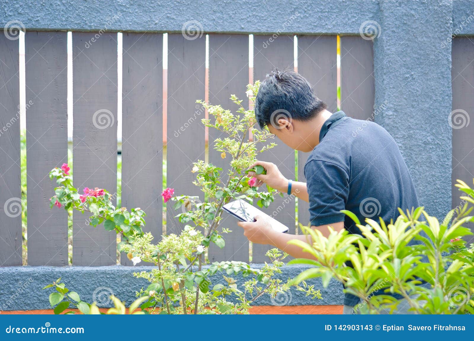 Back View of Asian Male Gardener or Florist Worker Doing Some Research ...