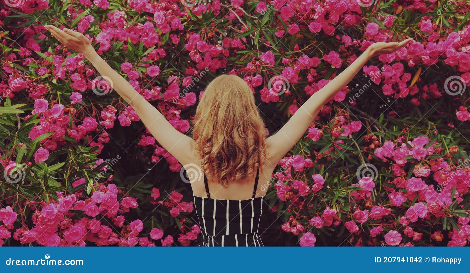 Back View Beautiful Happy Woman Raising Her Hands Up in Garden on Roses ... Back View Beautiful Happy Woman Raising Her Hands Up in Garden on Roses ...