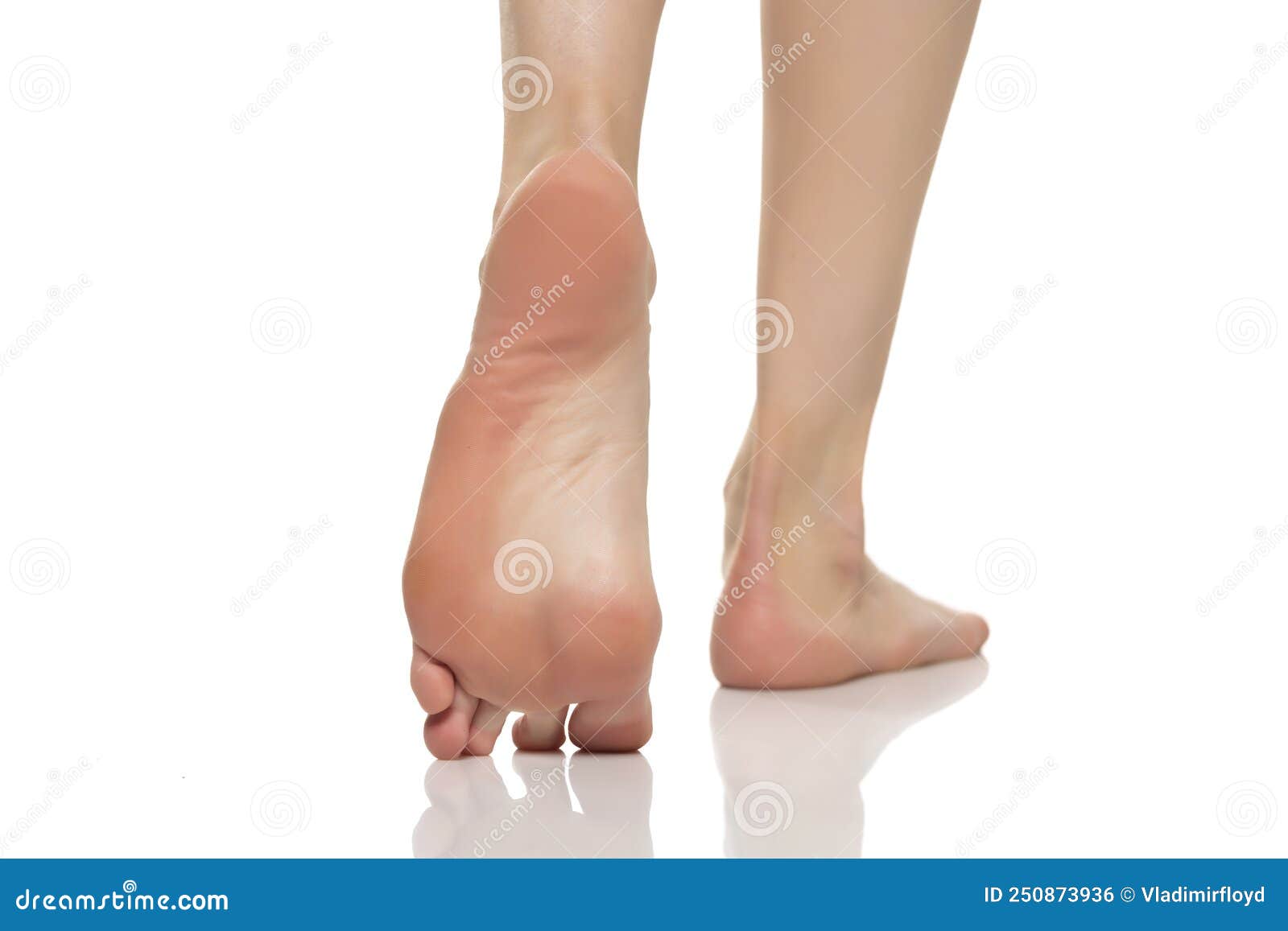 Back View of a Beautifully Cared Female Bare Feet on a White Background ...