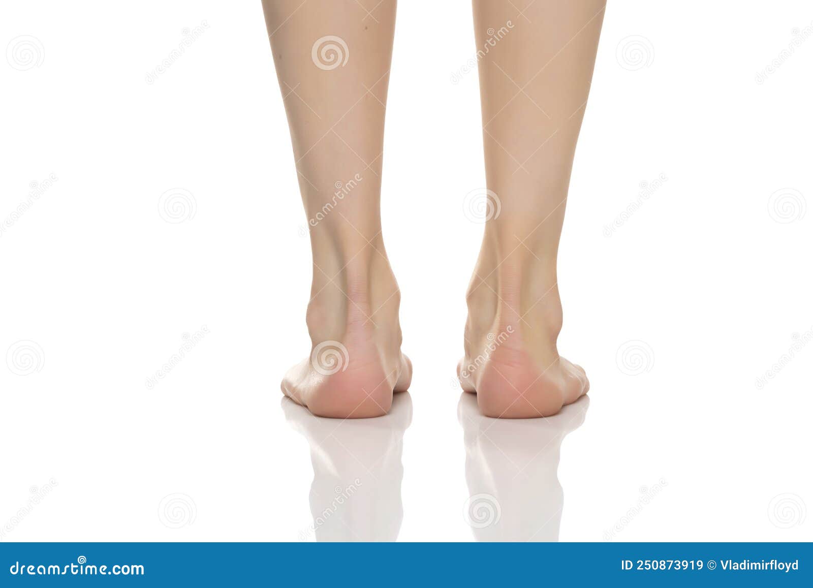 Back View of a Beautifully Cared Female Feet on a White Background ...