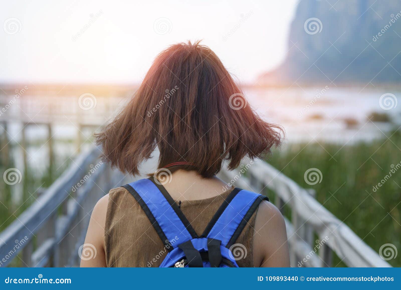 Back, View, Blur Picture. Image: 109893440