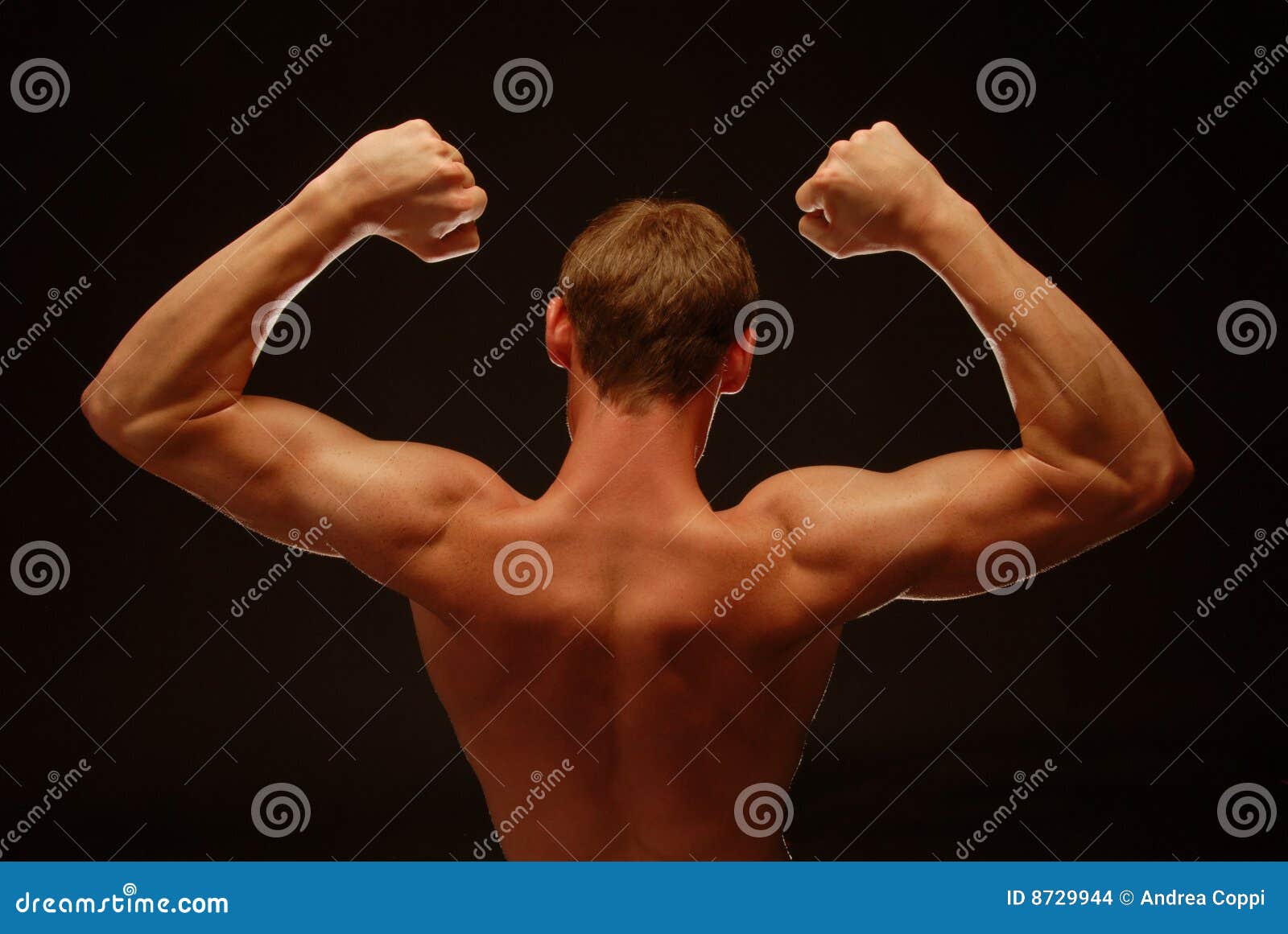 Back view of a Bodybuilder stock photo. Image of back - 8729944