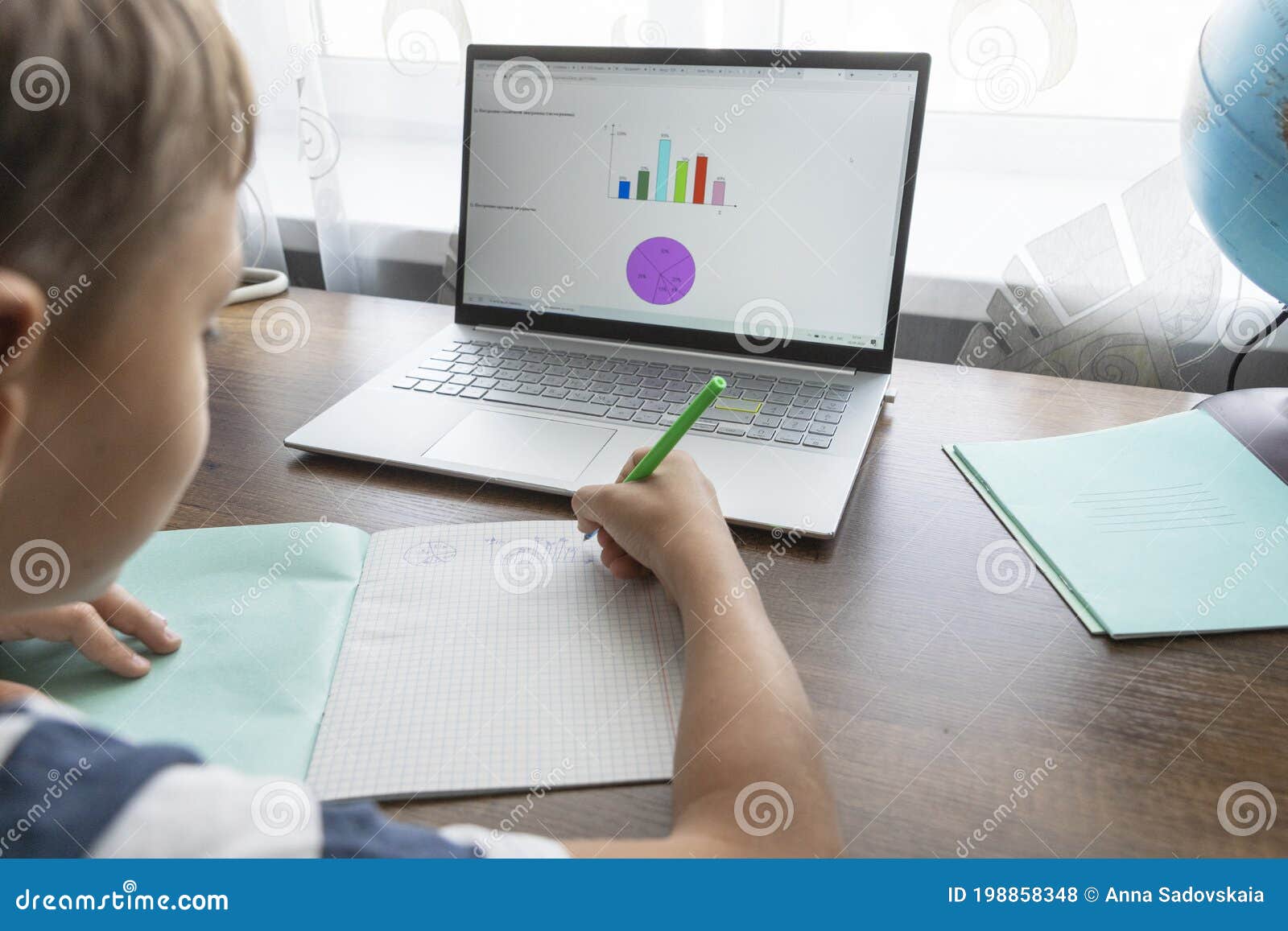 Back View of Boy Doing Homework in Front of Laptop with Charts on it ...