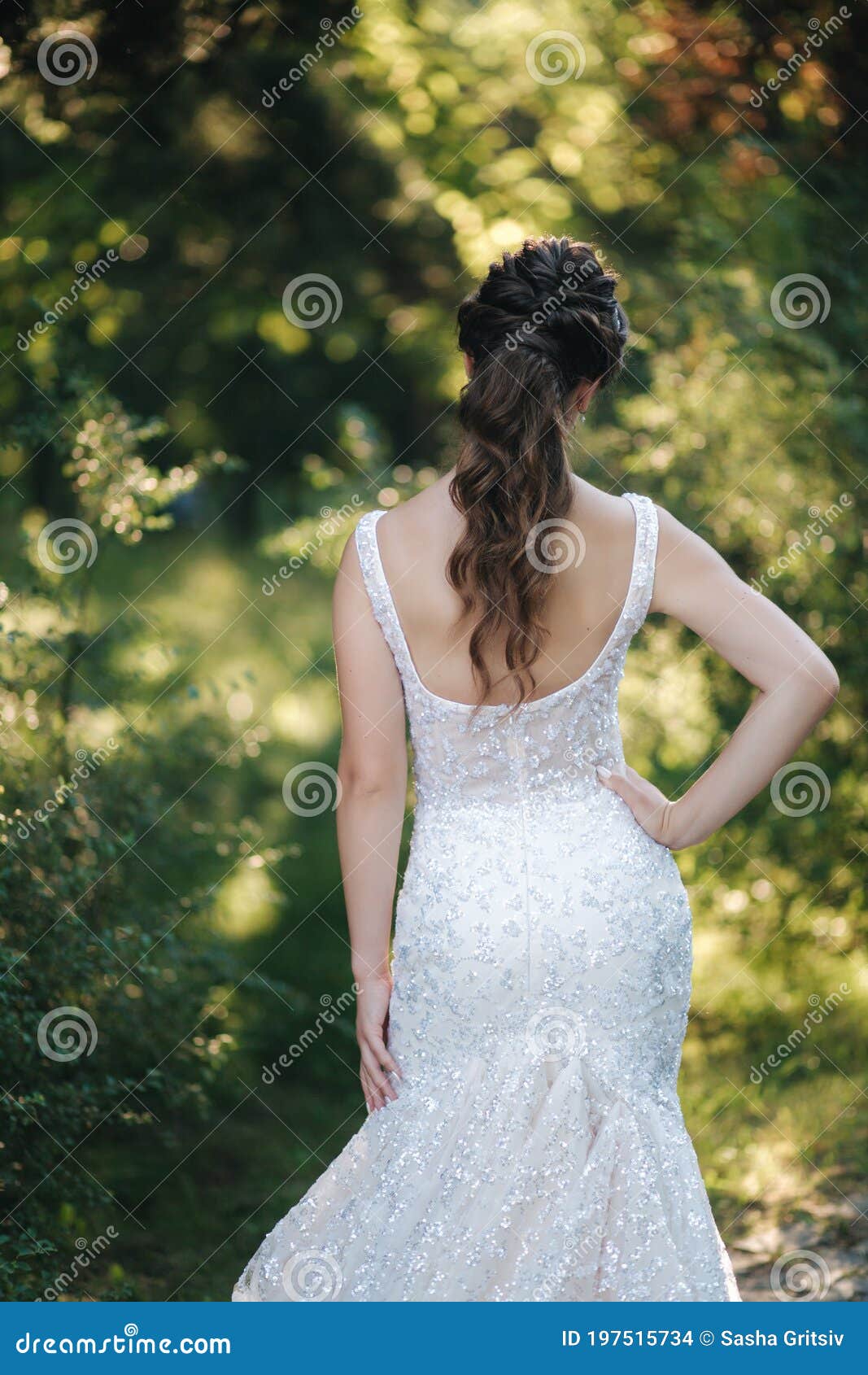 Back View of Bride with Beautiful Hairdress Stock Photo - Image of hair ...