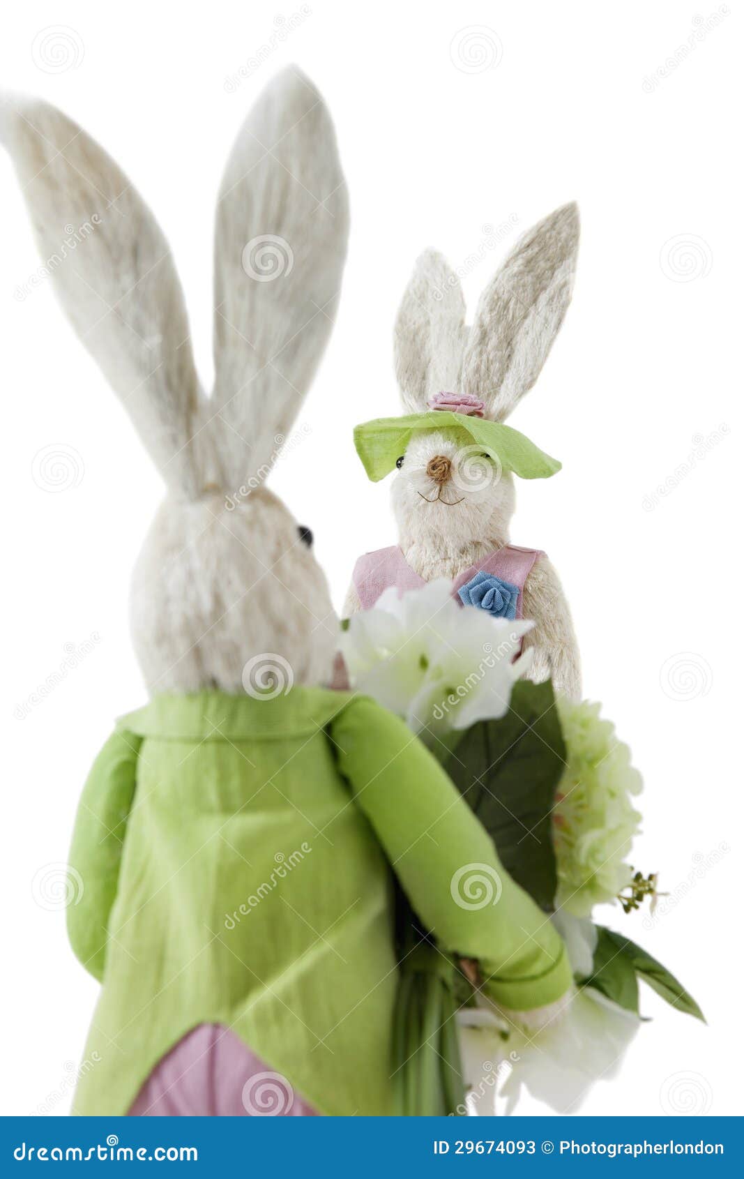 Back View of Bunny with Flower Bouquet Approaching Female Rabbit Over ...