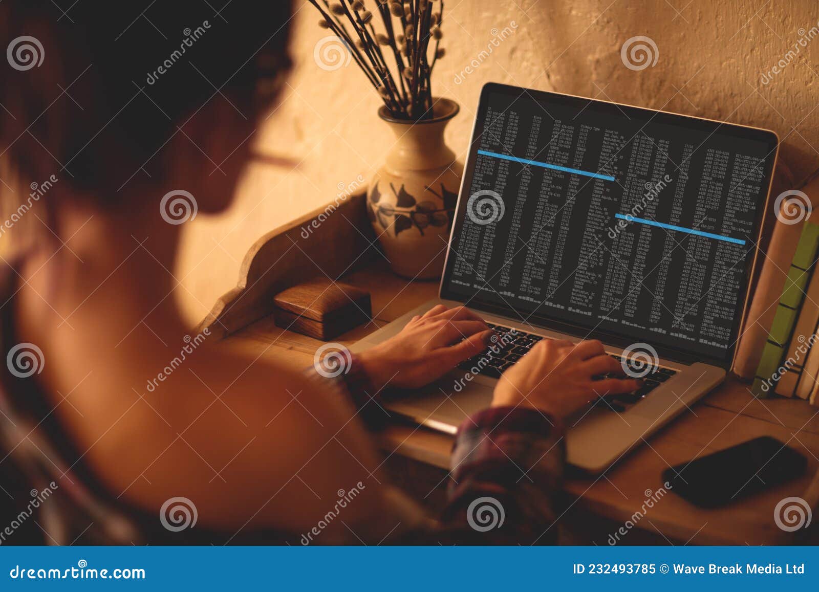 Back View of Caucasian Female Programmer Siting at Desk, Using Laptop ...