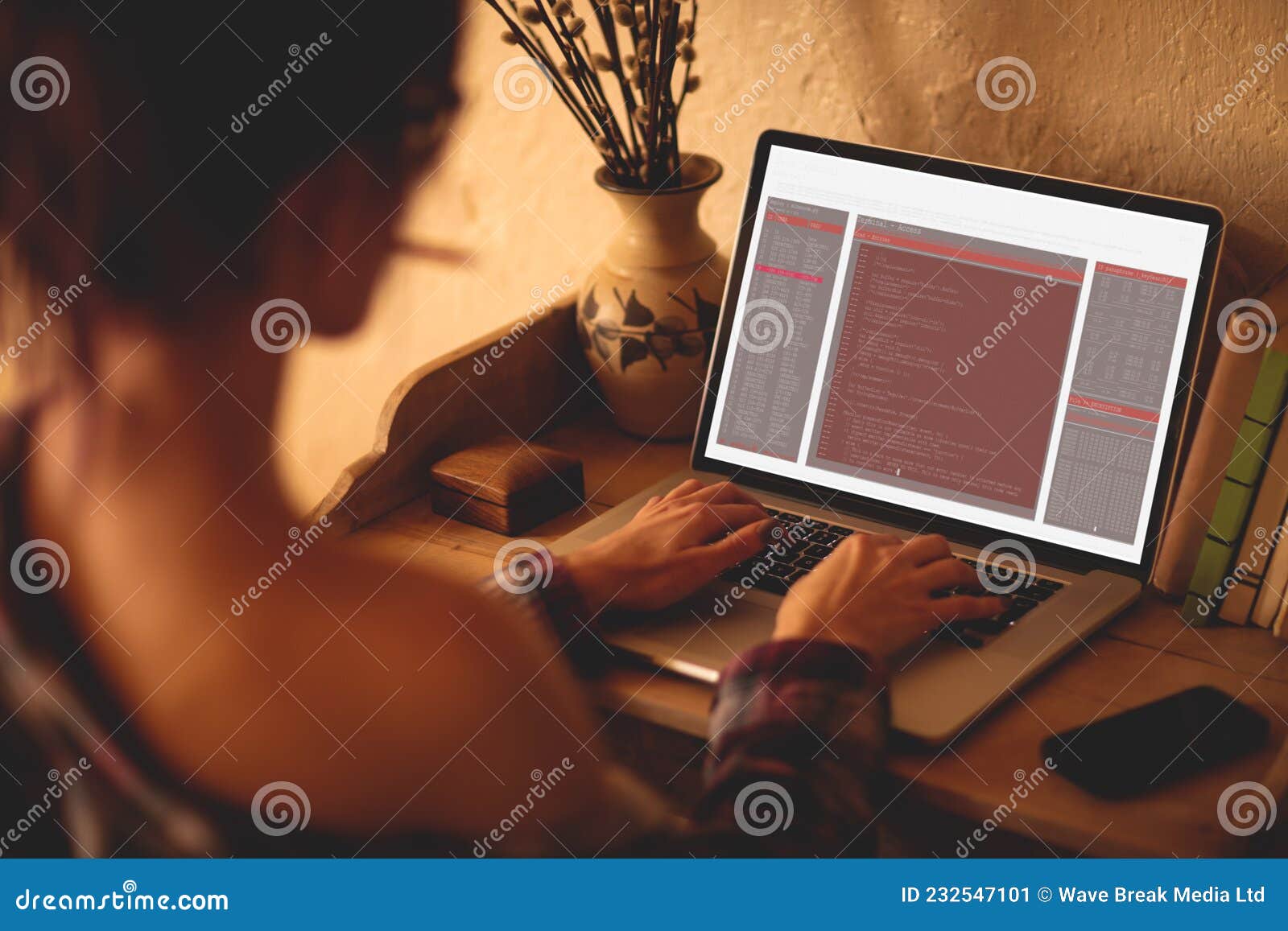 Back View Of Caucasian Female Programmer Sitting At Desk Using Laptop
