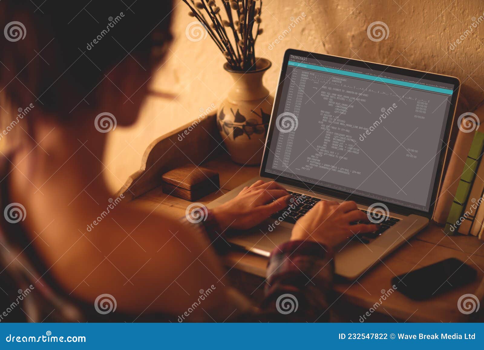 Back View of Caucasian Female Programmer Sitting at Desk, Using Laptop ...