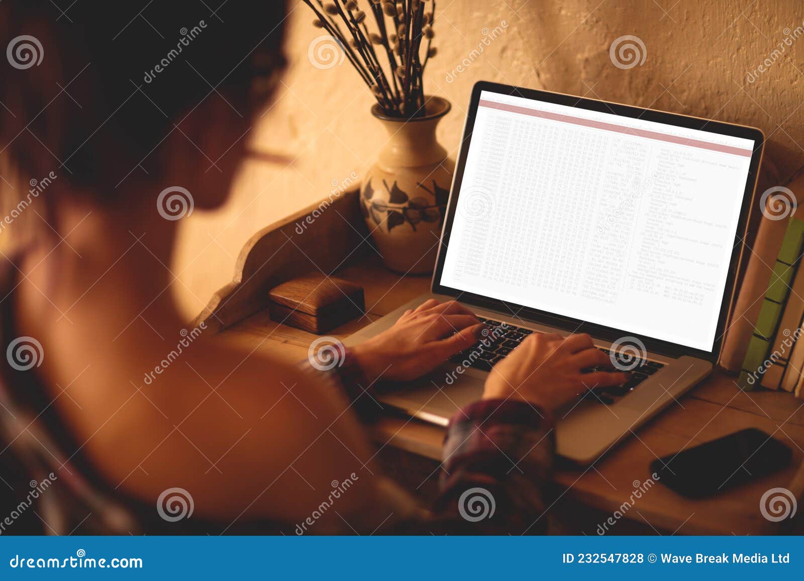 Back View Of Caucasian Female Programmer Sitting At Desk Using Laptop With Coding On Screen