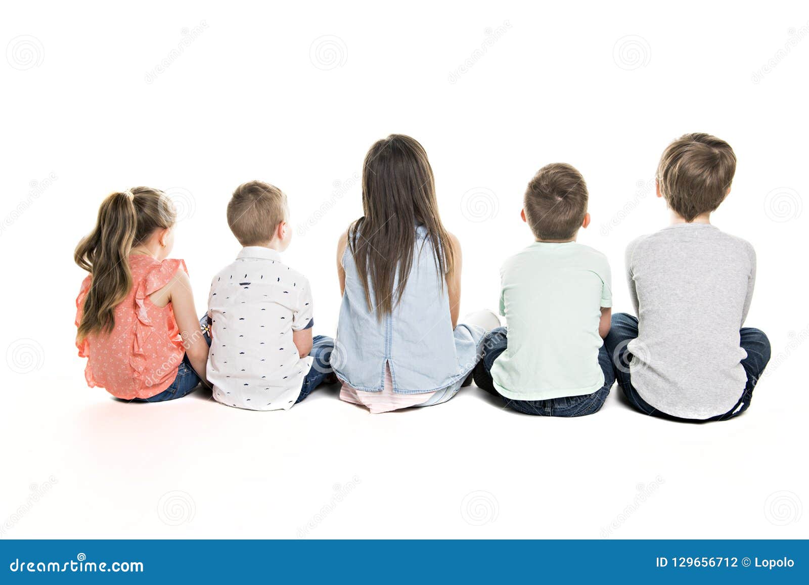 Top View Of Sitting Orange Brazilian Shorthair Cat Stock Photography ...