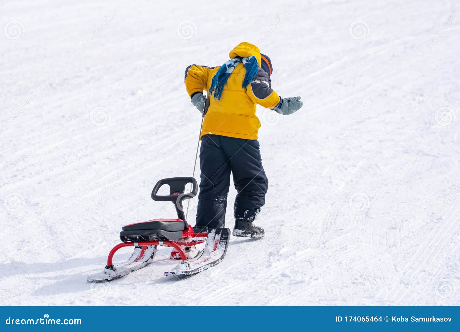 Back View of Child in Pulling Sledge and Running Up Snowy Slope Stock ...