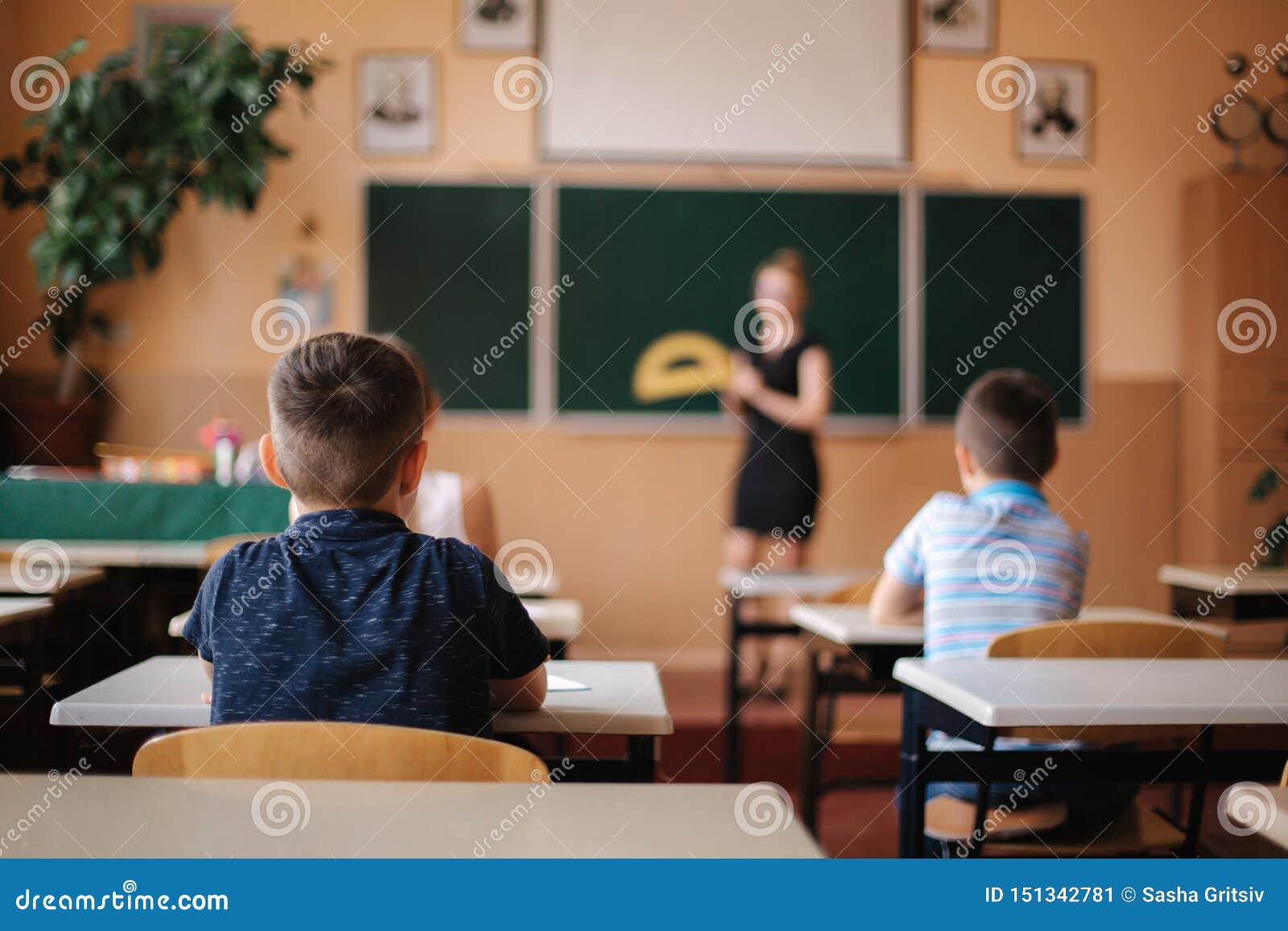 Back View of Children Sitting in the Class Room and Study. Elementary ...