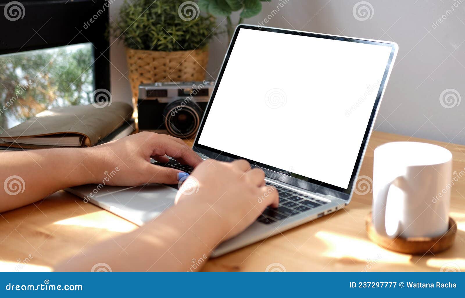 Back View Creative Man Working with Laptop Computer while Sitting at ...