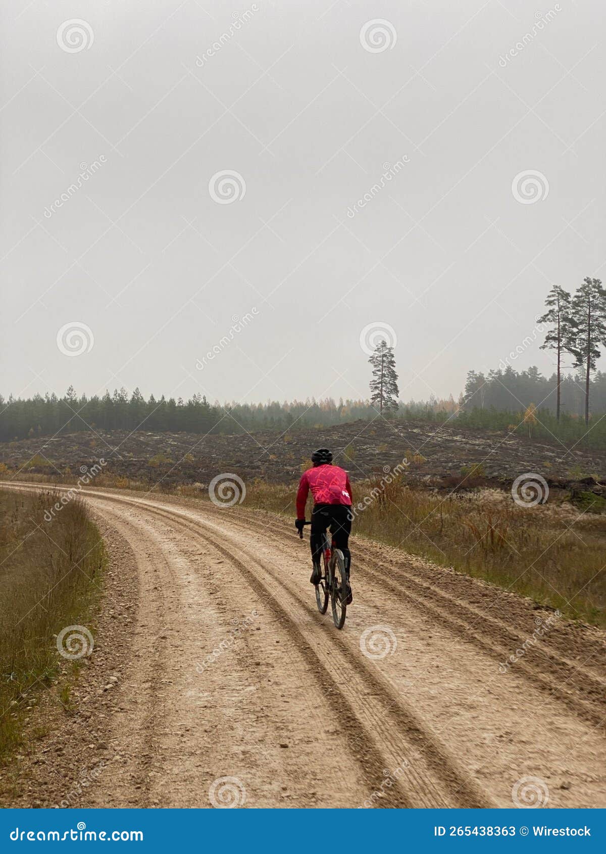 Back View of Cyclist Riding on Road Stock Image - Image of ...