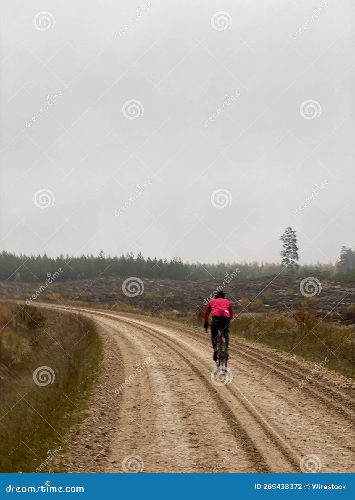 Back View of Cyclist Riding on Road Stock Photo - Image of nature ...