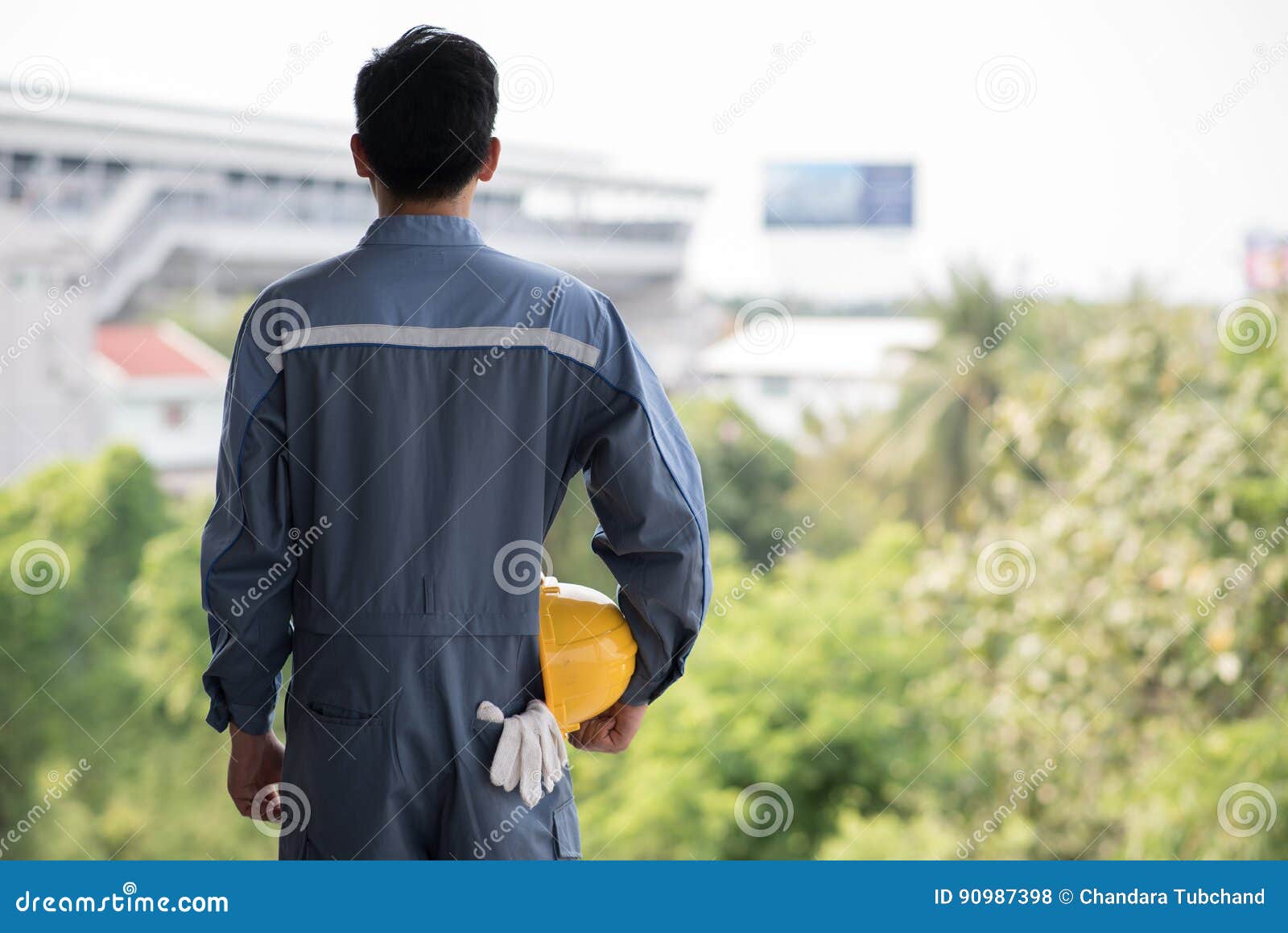 Back View of Engineer Looking at Green Nature Stock Photo - Image of ...