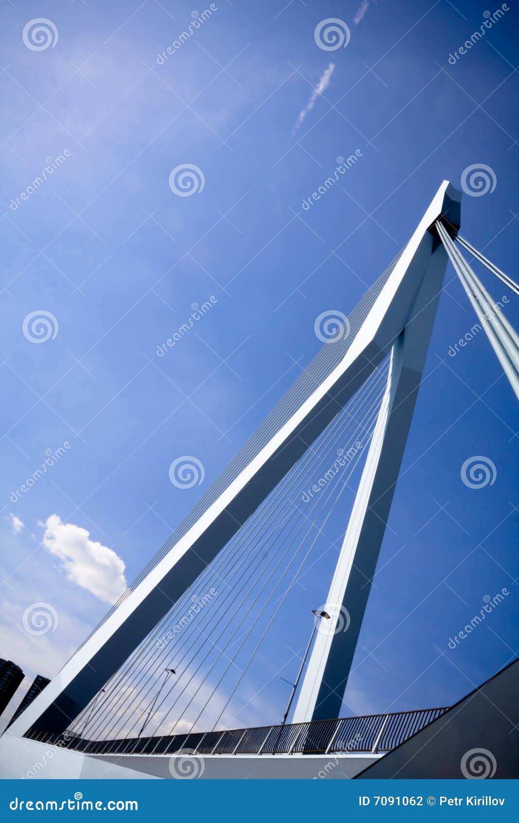 Back View of Erasmus Bridge Editorial Photography - Image of famous ...