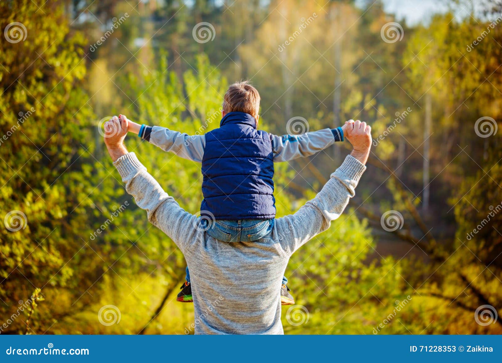 Back View of Father His Son on Shoulders on Nature Stock Image - Image ...