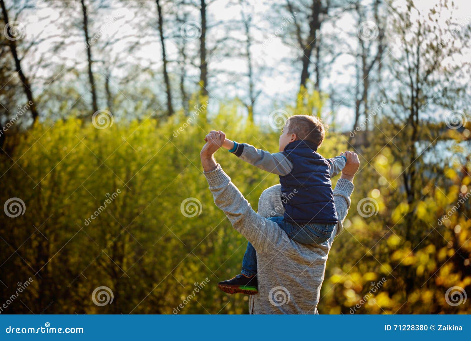 Back View of Father His Son on Shoulders on Nature Stock Photo - Image ...